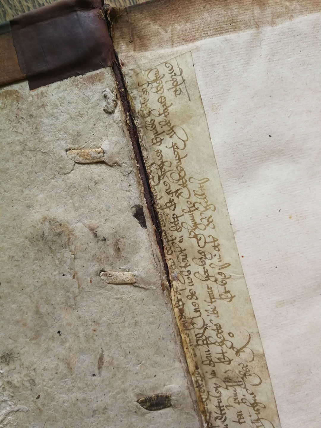 The Secret Lives of Books | St Anne's College, Oxford